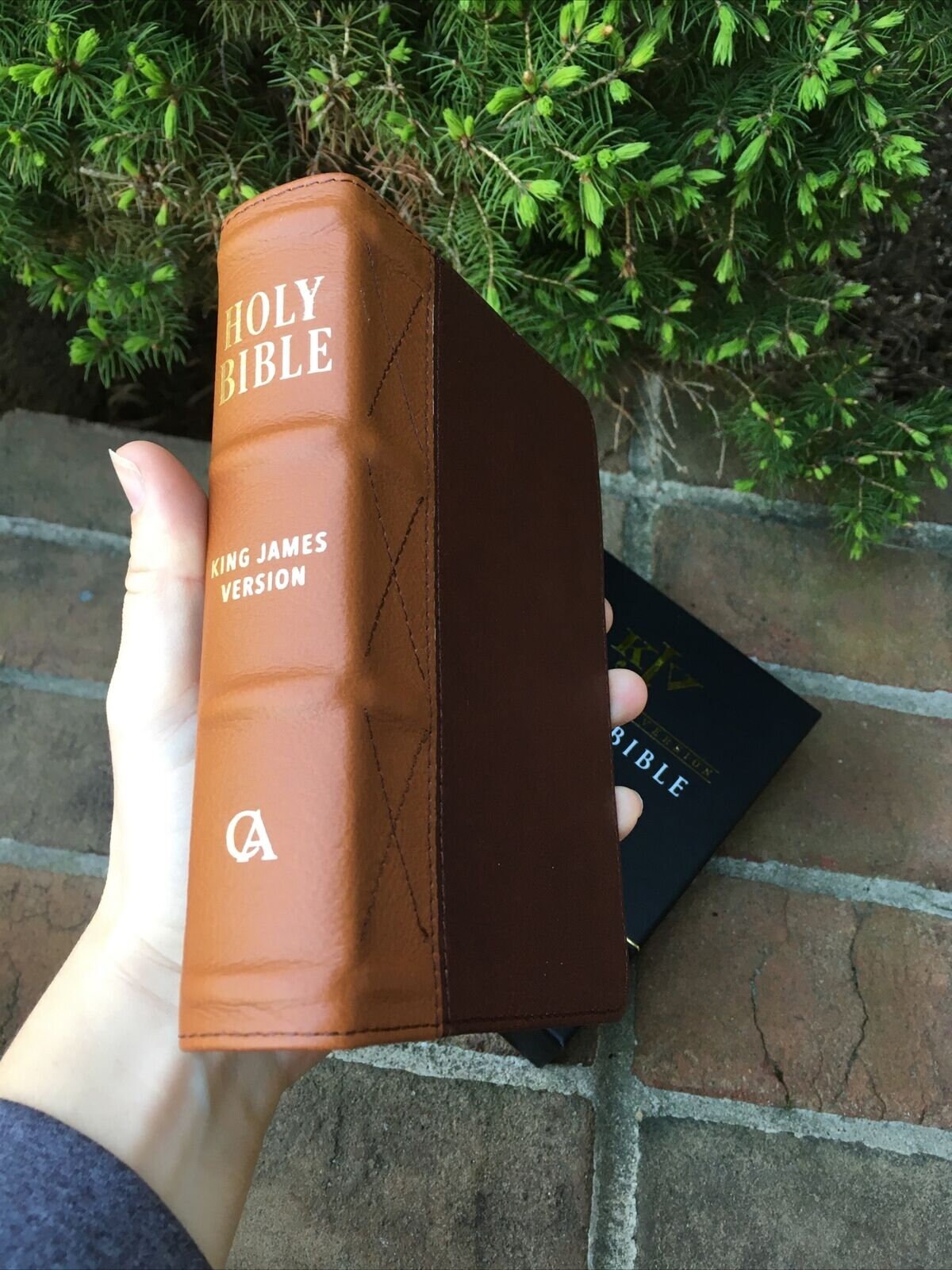 Soft Leather Small Pocket Bible - Genuine Cowhide ~ KJV ~compact ...