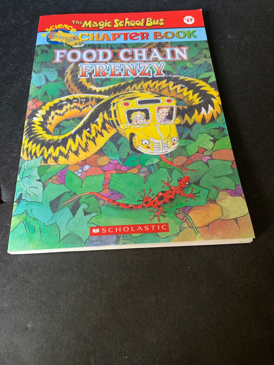 The Magic School Bus Chapter Book Series by Scholastic Inc. | Etsy