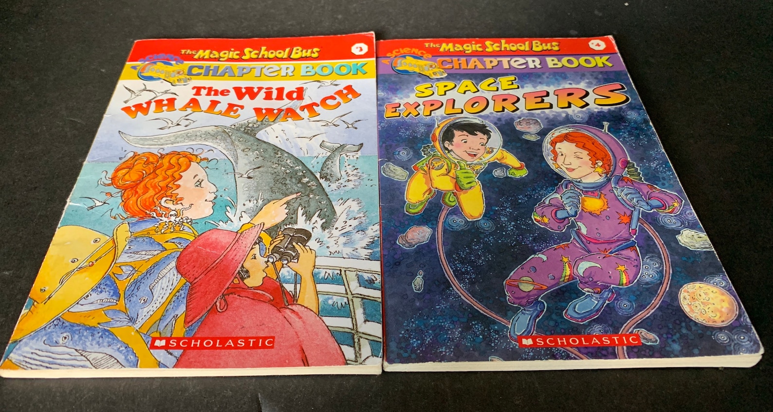 The Magic School Bus Chapter Book Series by Scholastic Inc. | Etsy