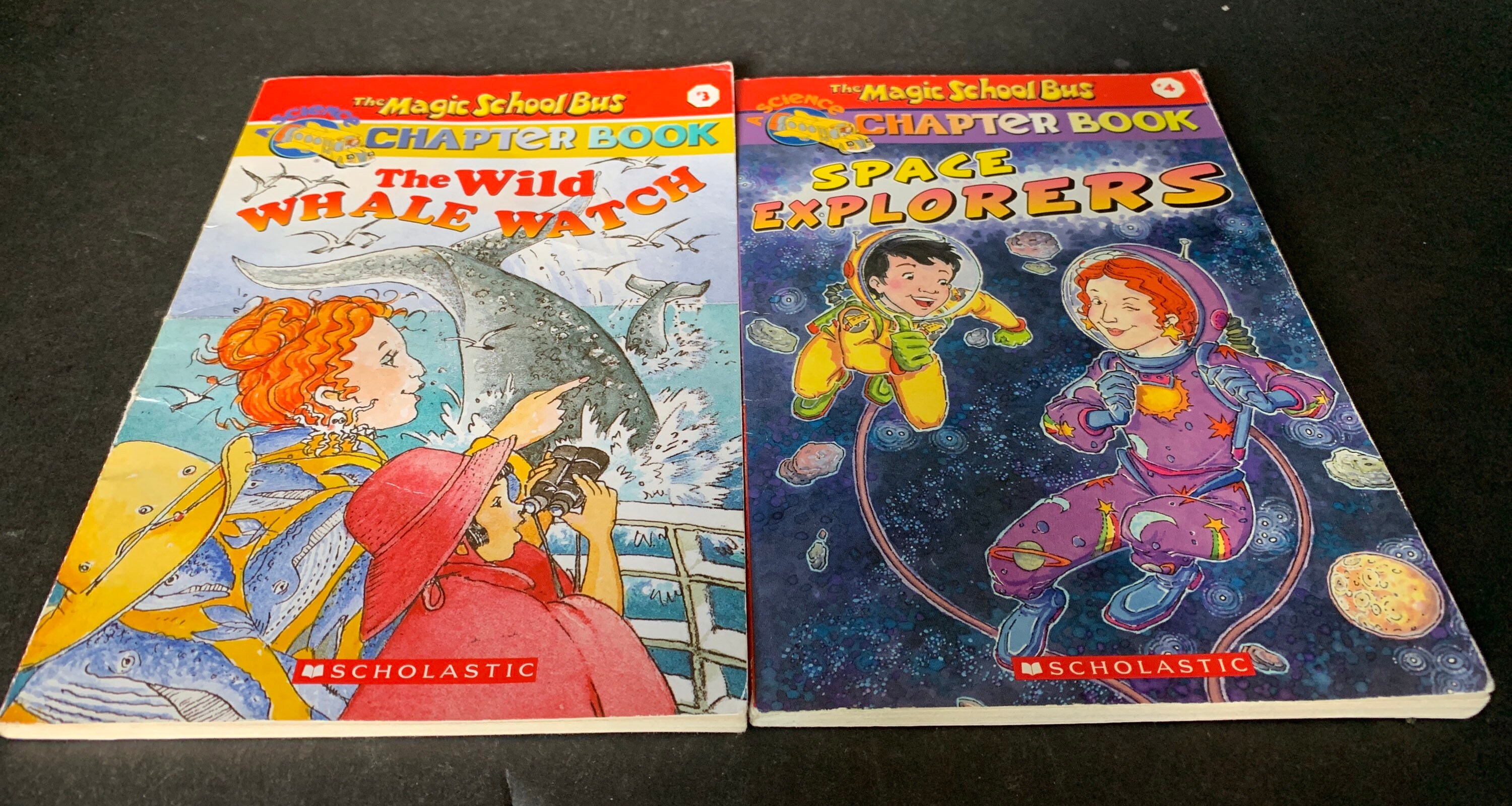 The Magic School Bus Chapter Book Series by Scholastic Inc. | Etsy