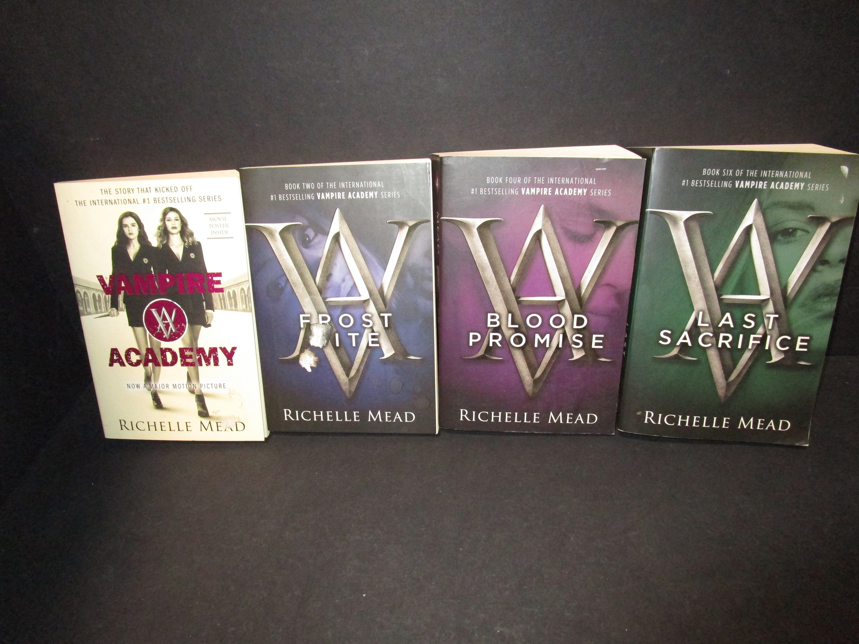 Vampire Academy Book 1 Book Cover