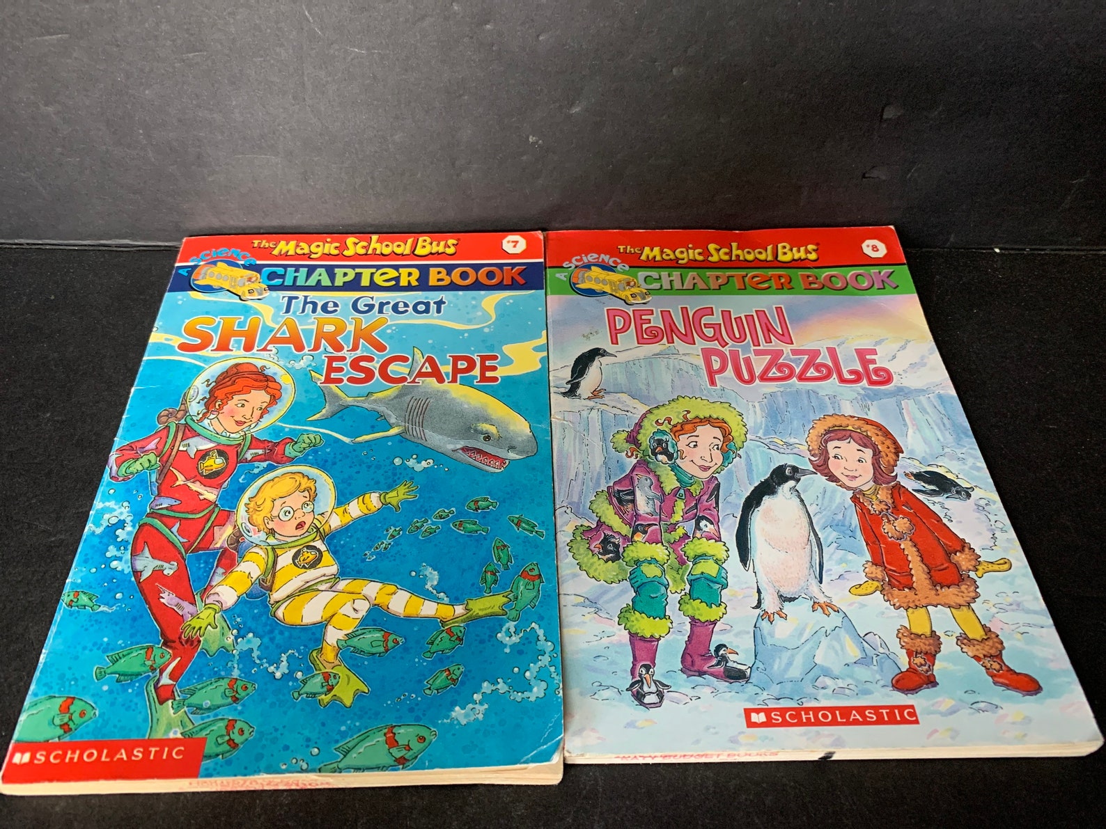 The Magic School Bus Chapter Book Series by Scholastic Inc. - Etsy