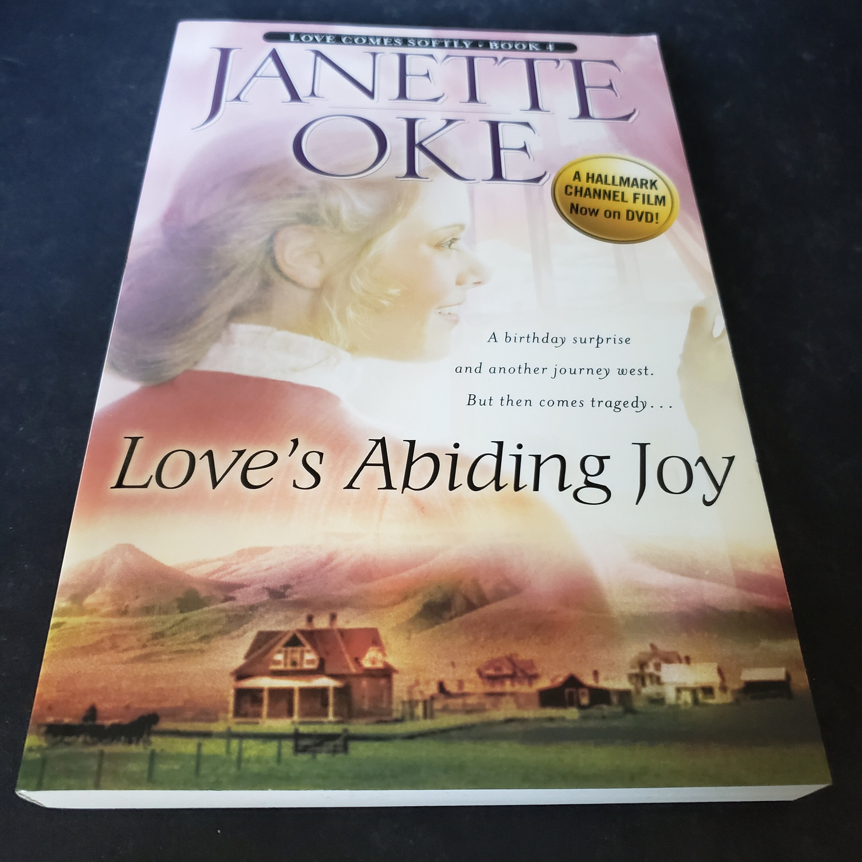 Love Comes Softly Book