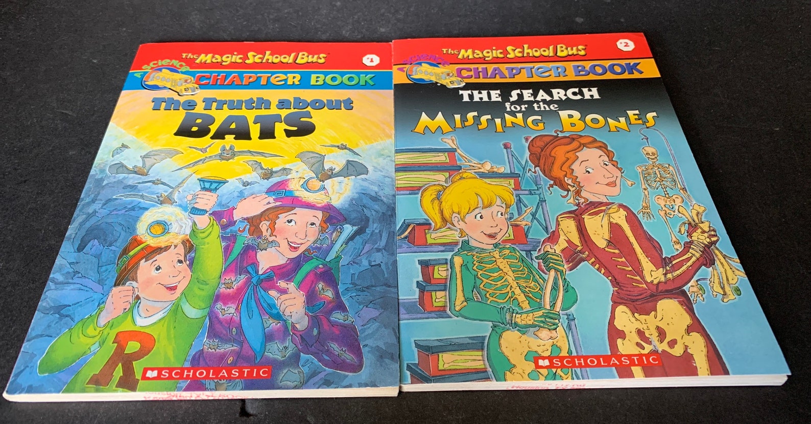 The Magic School Bus Chapter Book Series by Scholastic Inc. | Etsy