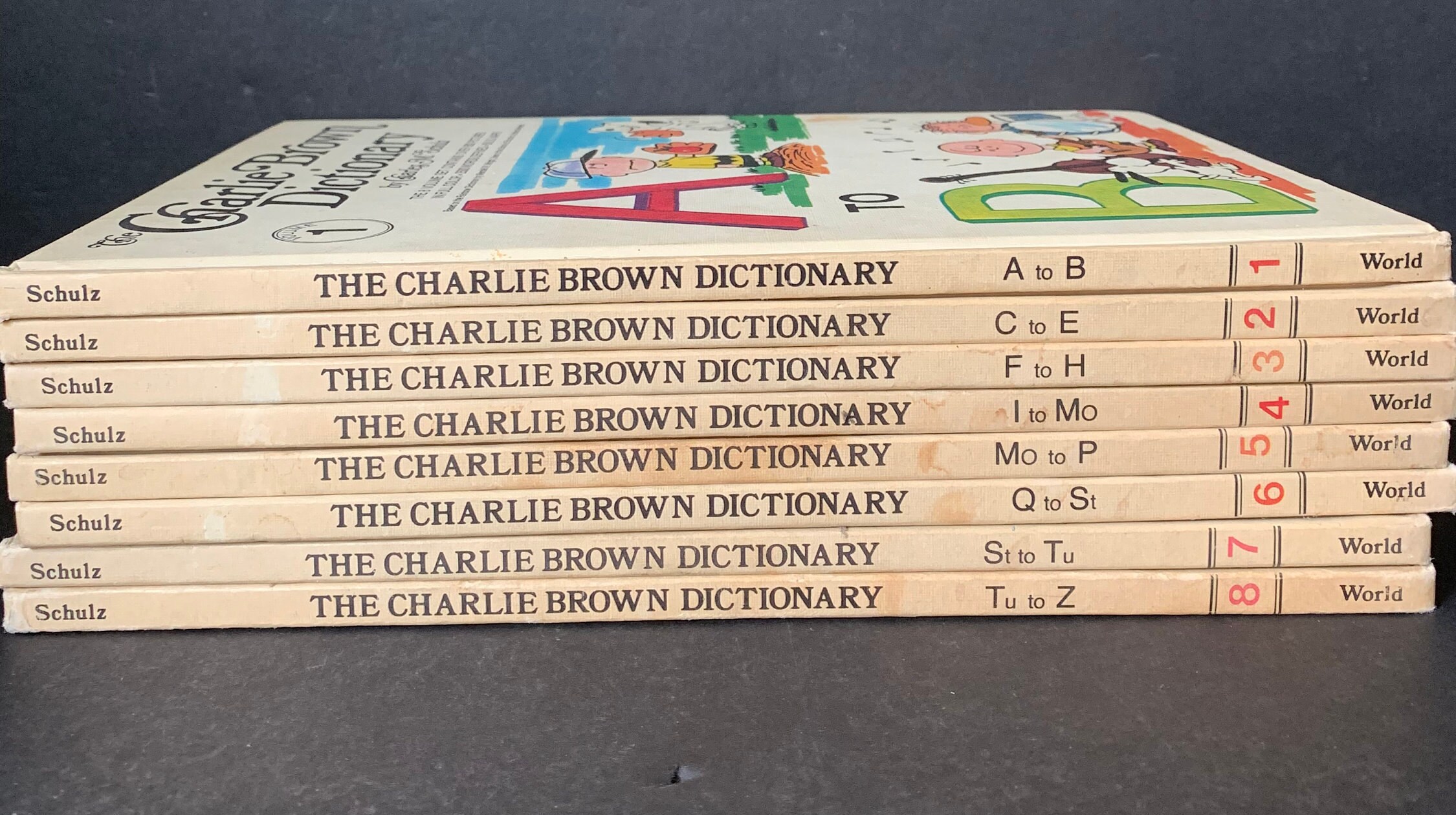 Charlie Brown Dictionary book set | Etsy