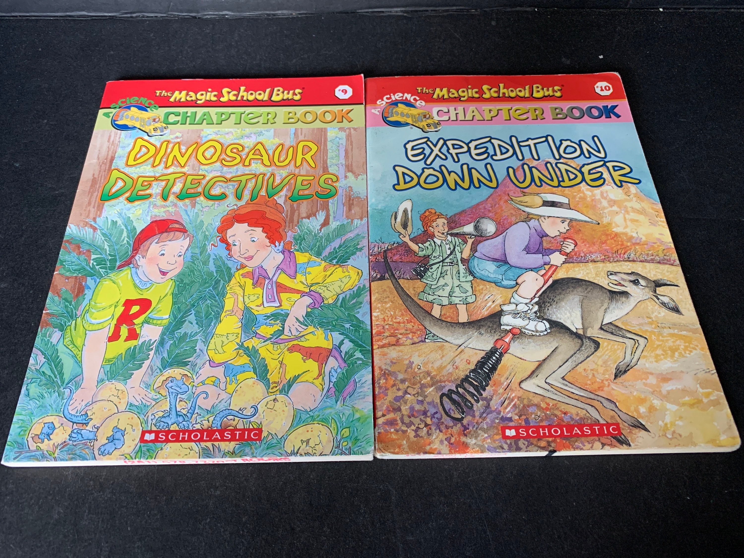 The Magic School Bus Chapter Book Series by Scholastic Inc. | Etsy