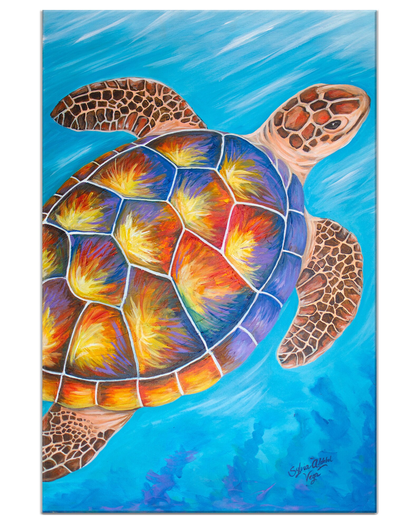 Fire Turtle, Colorful Turtle, Sea Turtle Art, Tropical Colors, Ocean ...