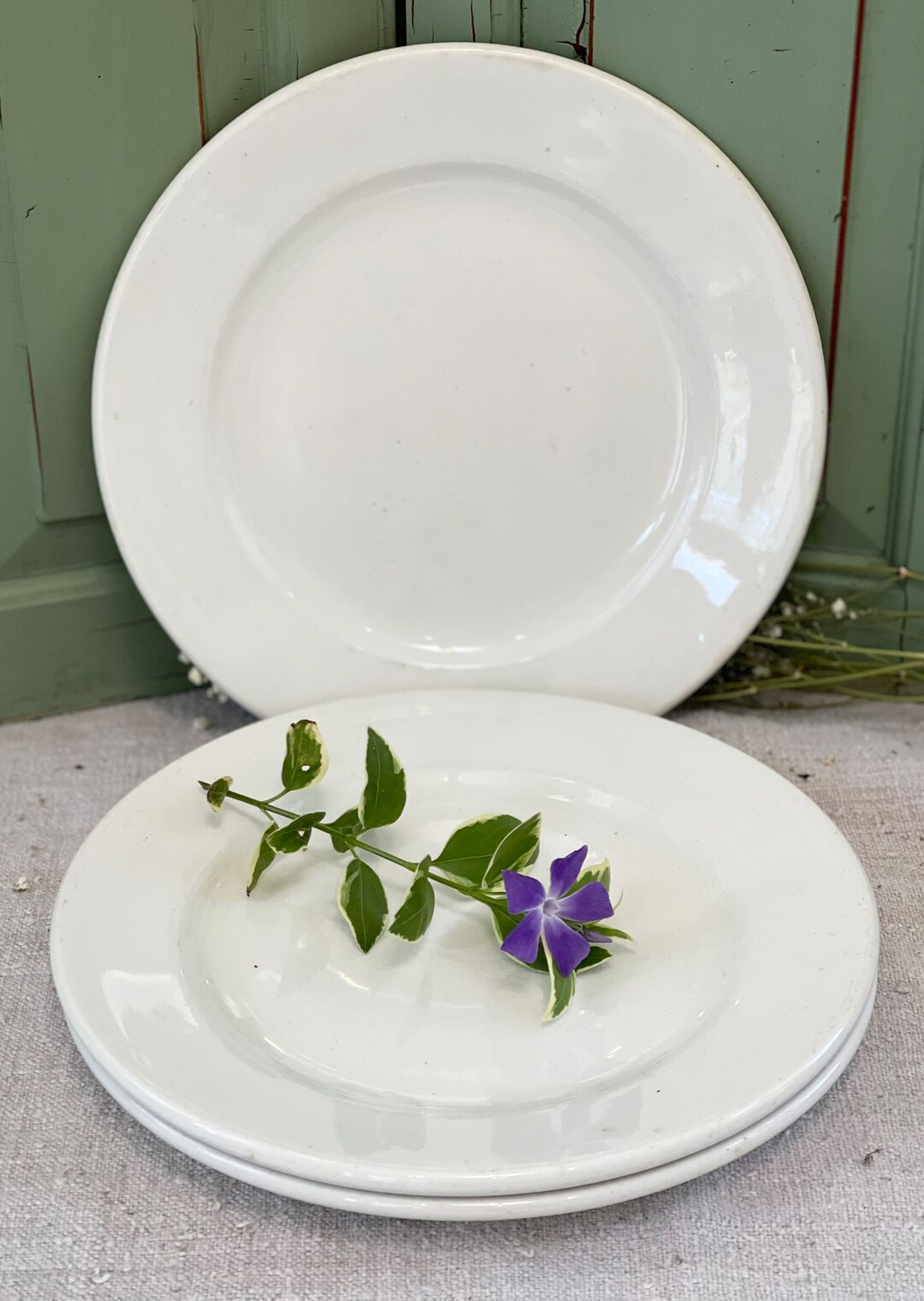 Antique Ironstone Plate J & G Meekins and Sons Hotel 3 - Etsy