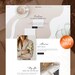 Stella Responsive Blogger Template, Modern Premium Blogger Theme ...