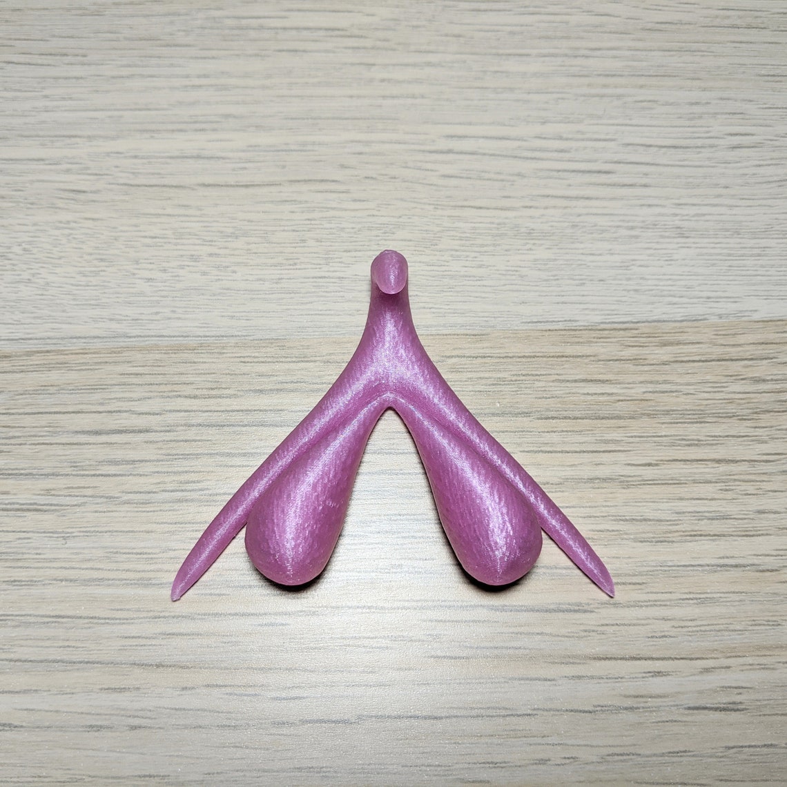 Clitoris / Anatomical Model of Clitoris | Etsy