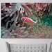 Deep Sea Pink Anemonefish Pacific Ocean Wall Art Canvas Print - Etsy