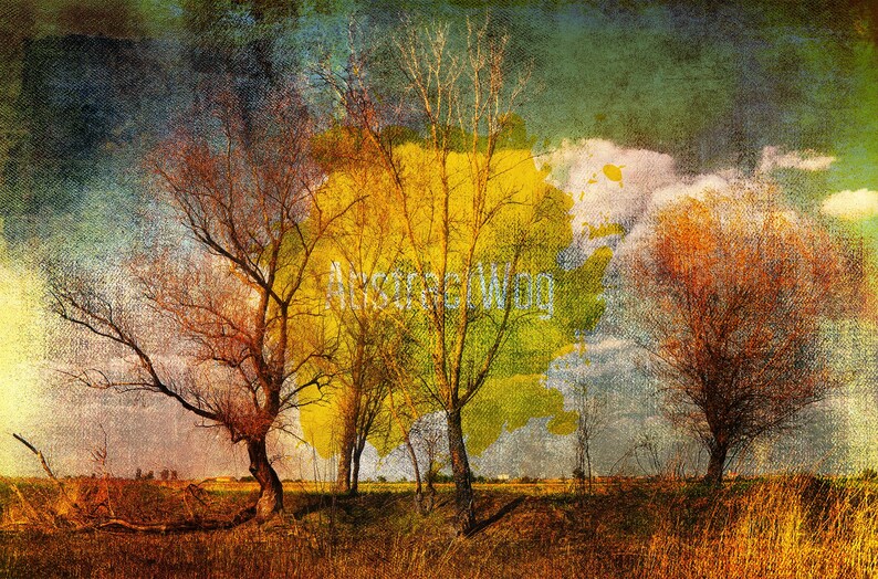 Trees Wall Art Abstract Tree Canvas Print Nature Home Decor - Etsy