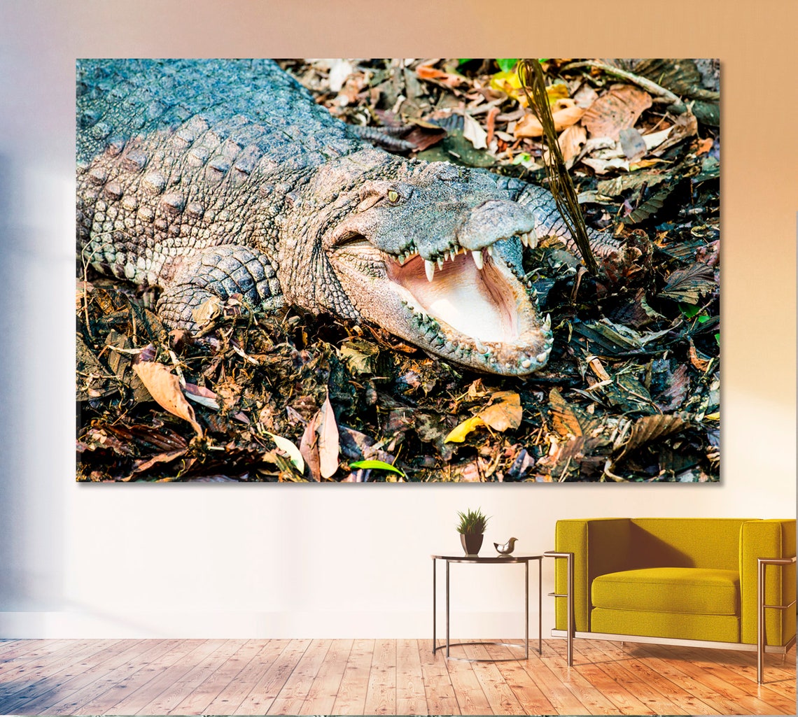 Crocodile Canvas Print, Reptile Wall Art, Crocodile Wall Decor ...