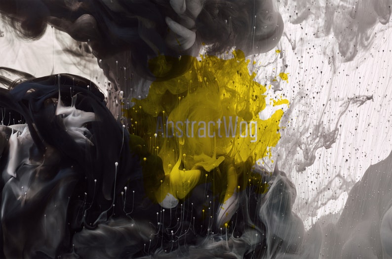 Motion Abstract Splash Artwork on Canvas Black and White - Etsy