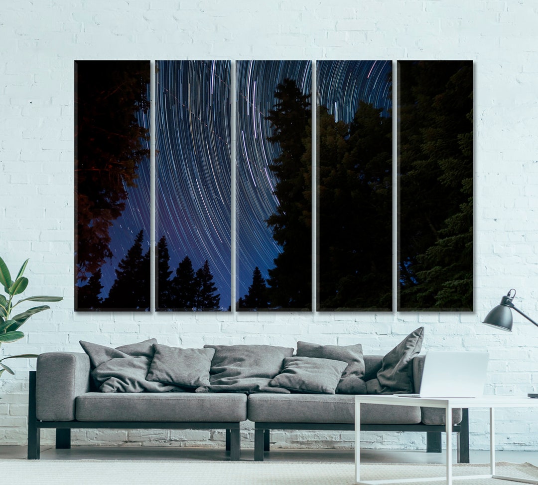 Shooting Stars Sky Photo Poster Print, Beautiful Forest Star Trails ...