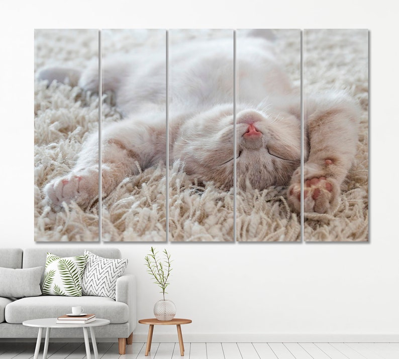 Cute Cat Wall Decor Pet Animal Wall Decoration Kitten Canvas - Etsy