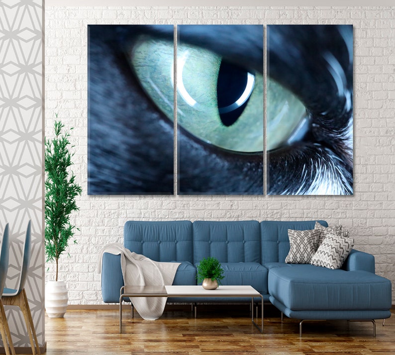Macro Amazing Cat Eye Large Wall Art Canvas Print Décor for - Etsy