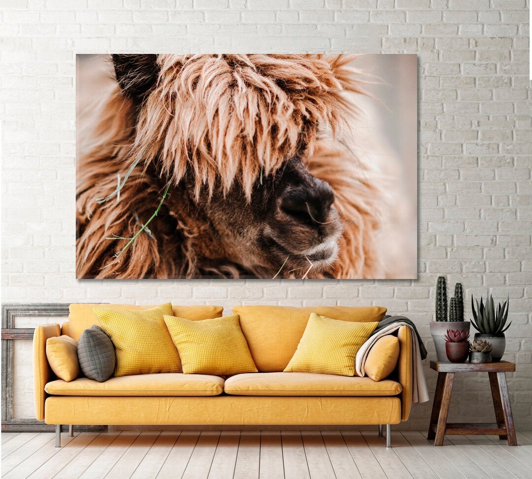 Lama Wall Art, Zoo Wall Decor, Little Cute Shy Fluffy Curly Alpaca ...
