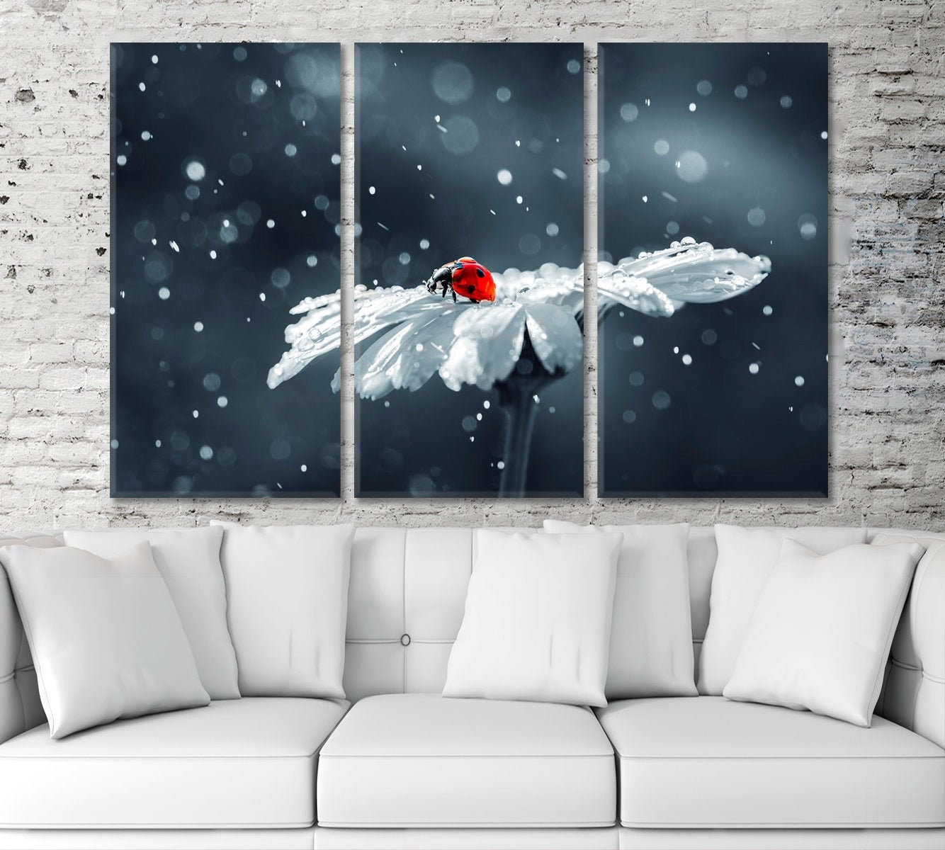 Daisy and Ladybug Canvas Print Wall Art Decor, Flower and Water Drops ...