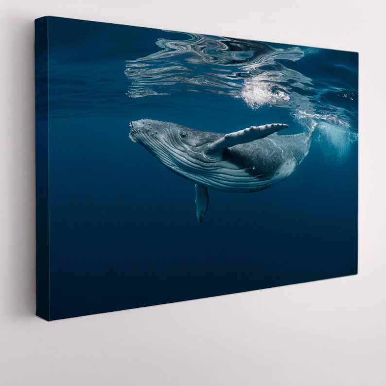 Whale Canvas Print Ocean Art Canvas Print Wall Décor Baby | Etsy