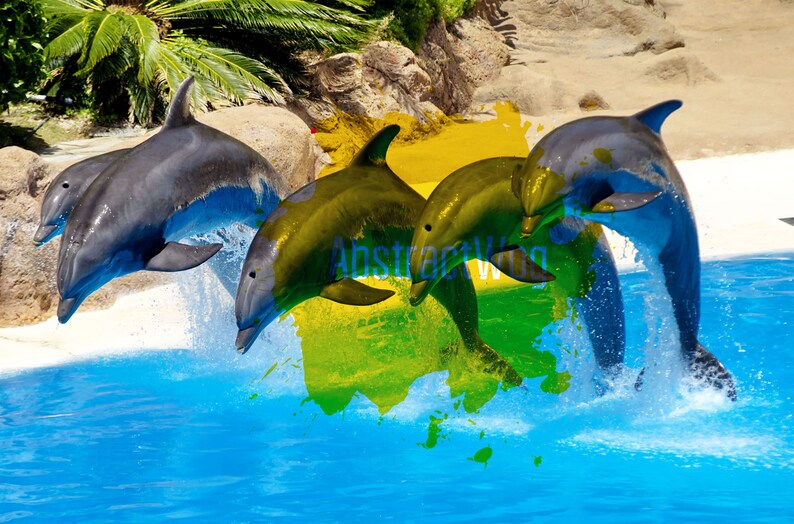 Team Dolphins Canvas Print Animals Wall Art Dolphins Wall - Etsy