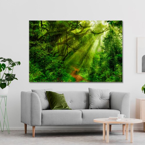Jungle Jungle Photo Poster Print on Canvas Tropical Forest - Etsy