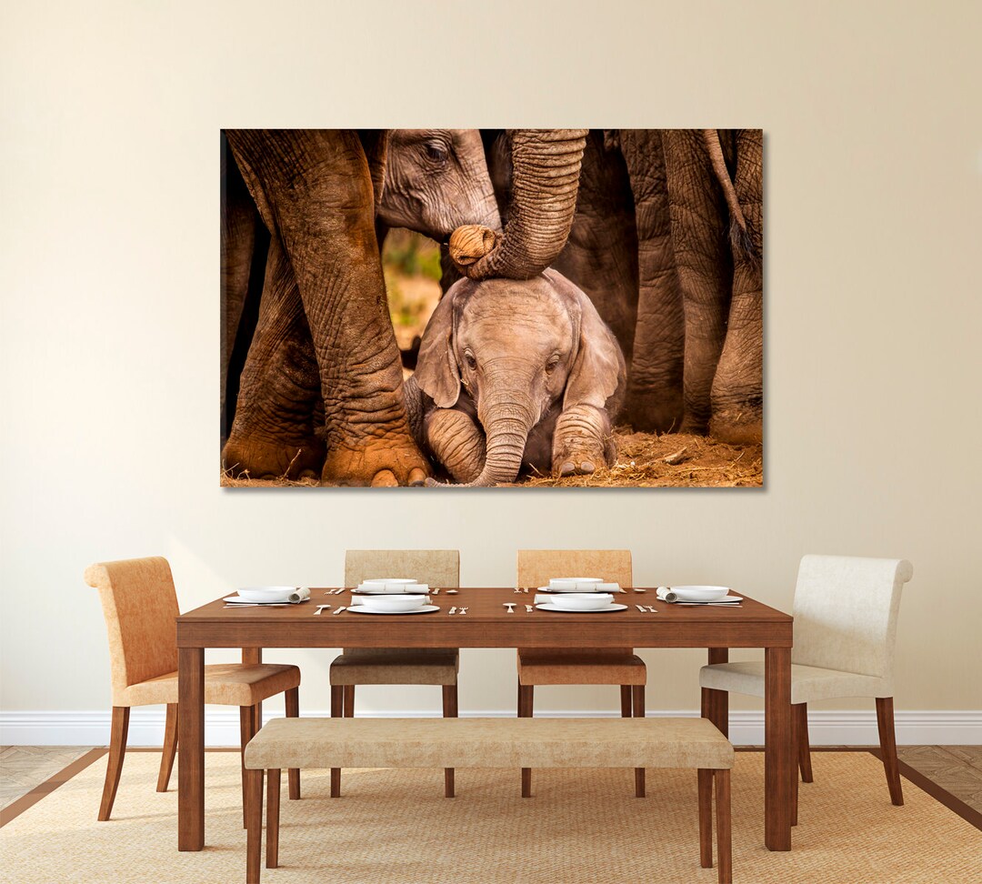 Elephants Wall Art, Baby Africa Elephants Photo Poster Print, Animal ...