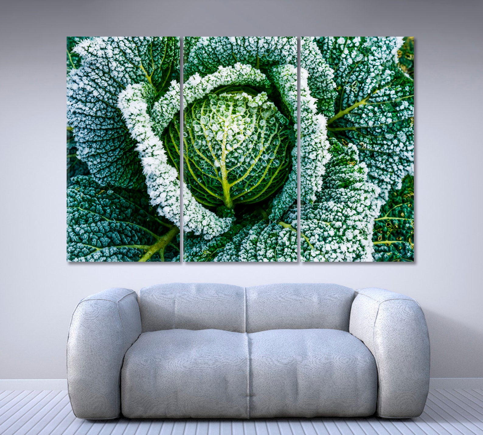 FROST Abstract Naturalism, Frozen Cabbage Unique Abstract Amazing ...