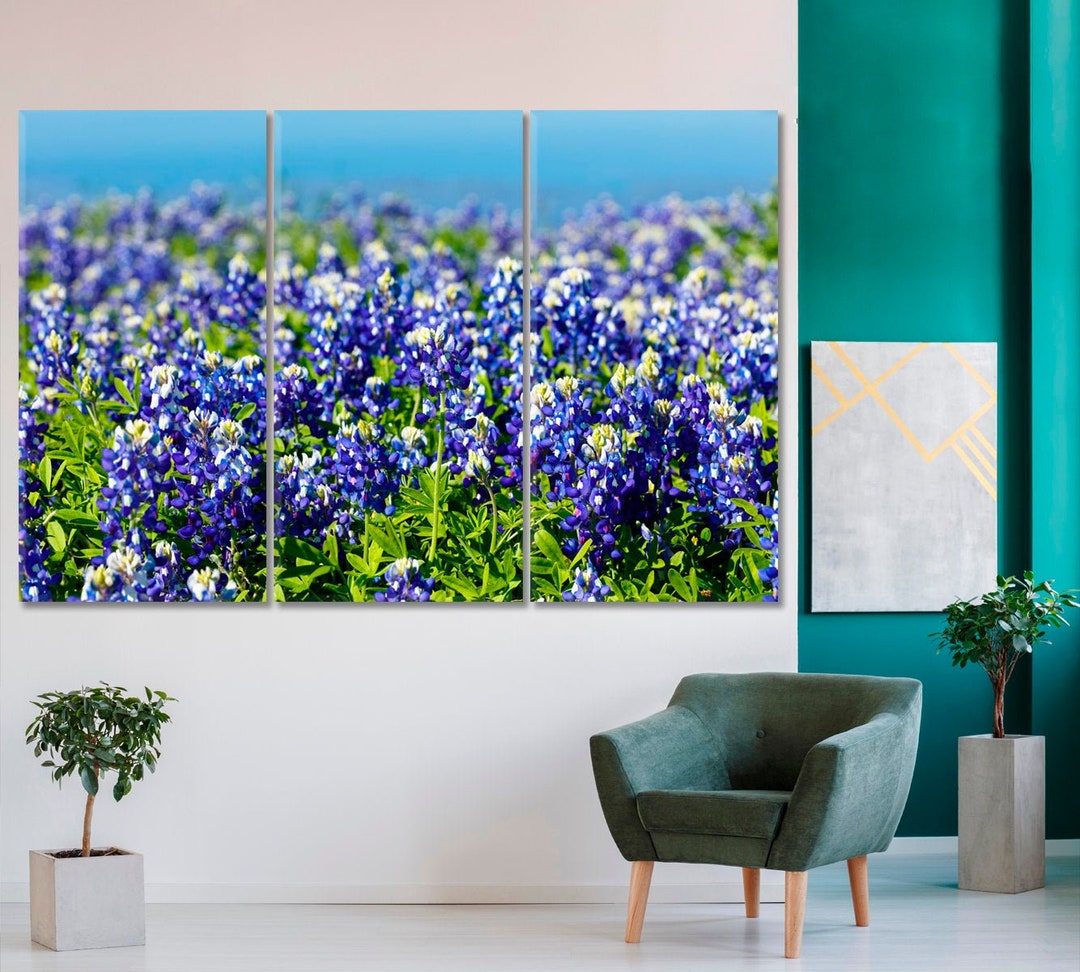 Bluebonnet Wall Art, Field Colors Wall Decor, Texas Hill Country Canvas ...