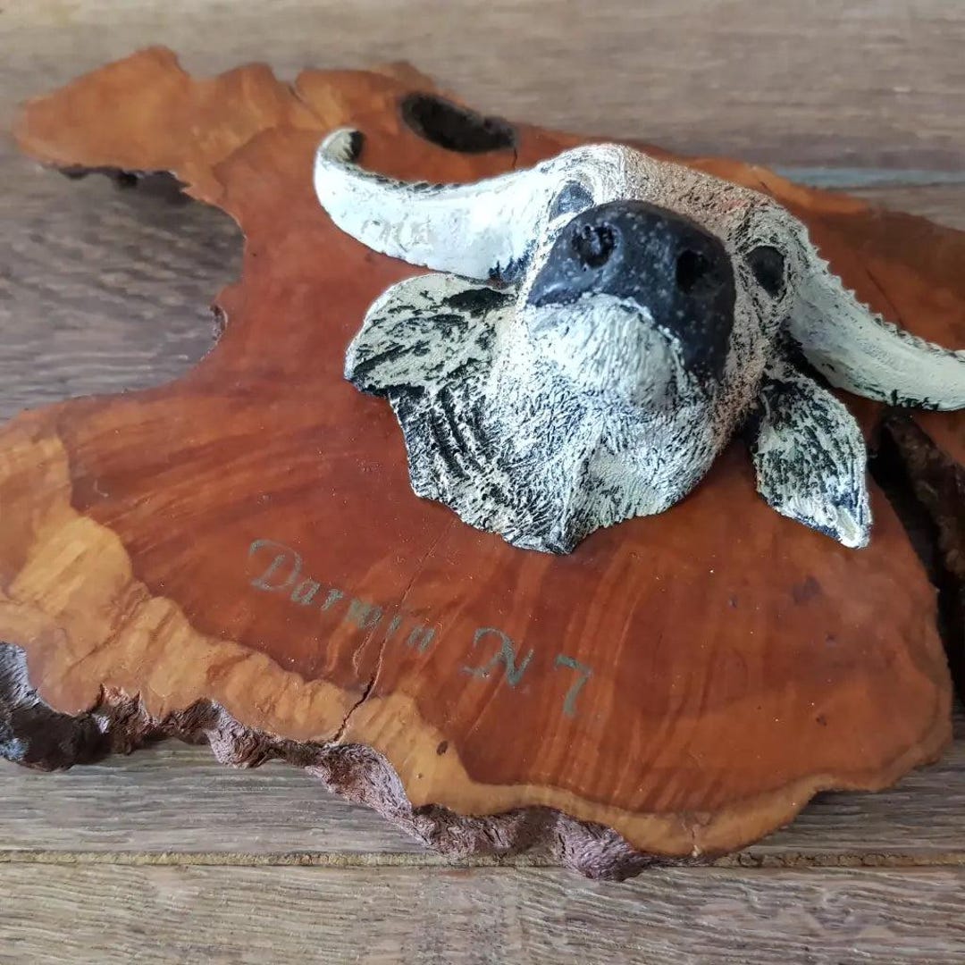 Vintage Mallee Tree Souvenir NT Australia - Etsy