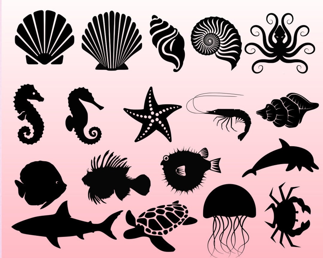 Ocean Svg Bundle, Under the Sea Svg, Seashell Svg, Beach Svg, Shell Svg ...