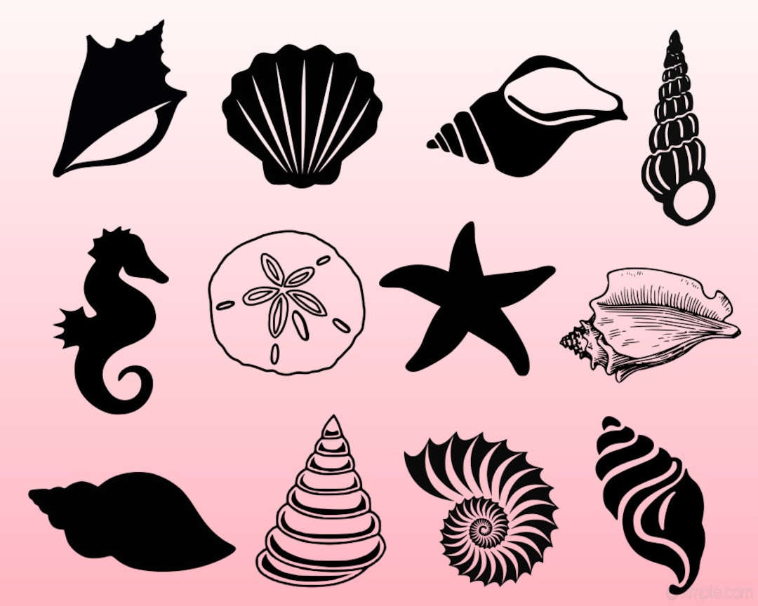 Sea Shell Bundle Svg, Seashell Svg, Beach Svg, Shell Svg, Seahorse Svg ...