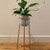 Flower Pot Stand 3 Legs - Etsy