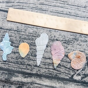 Set of 14 Embossed Paper Seashells | Hand Dyed | Die Cuts | Ephemera ...