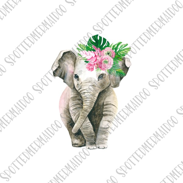 Elephant Decal - Etsy