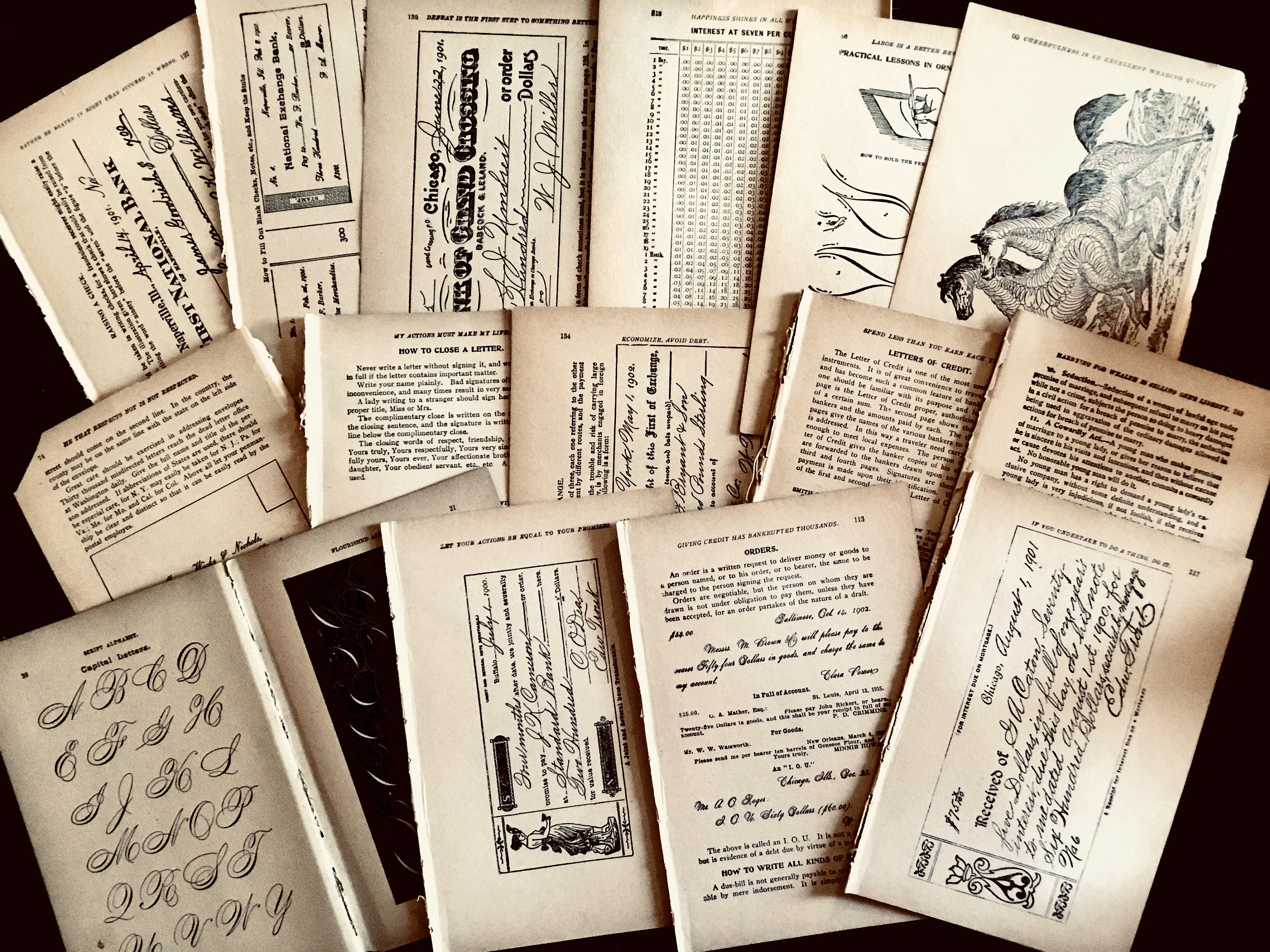 15 Amazing 1913 Antique Book Pages. Cottagecore Pages Junk Journal ...