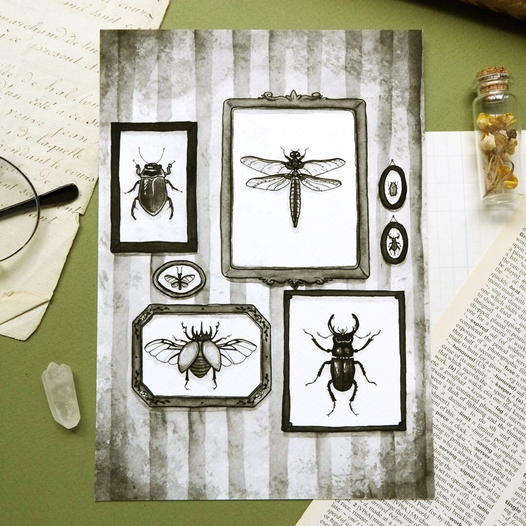 Gallery of Curiosities - Print - Etsy
