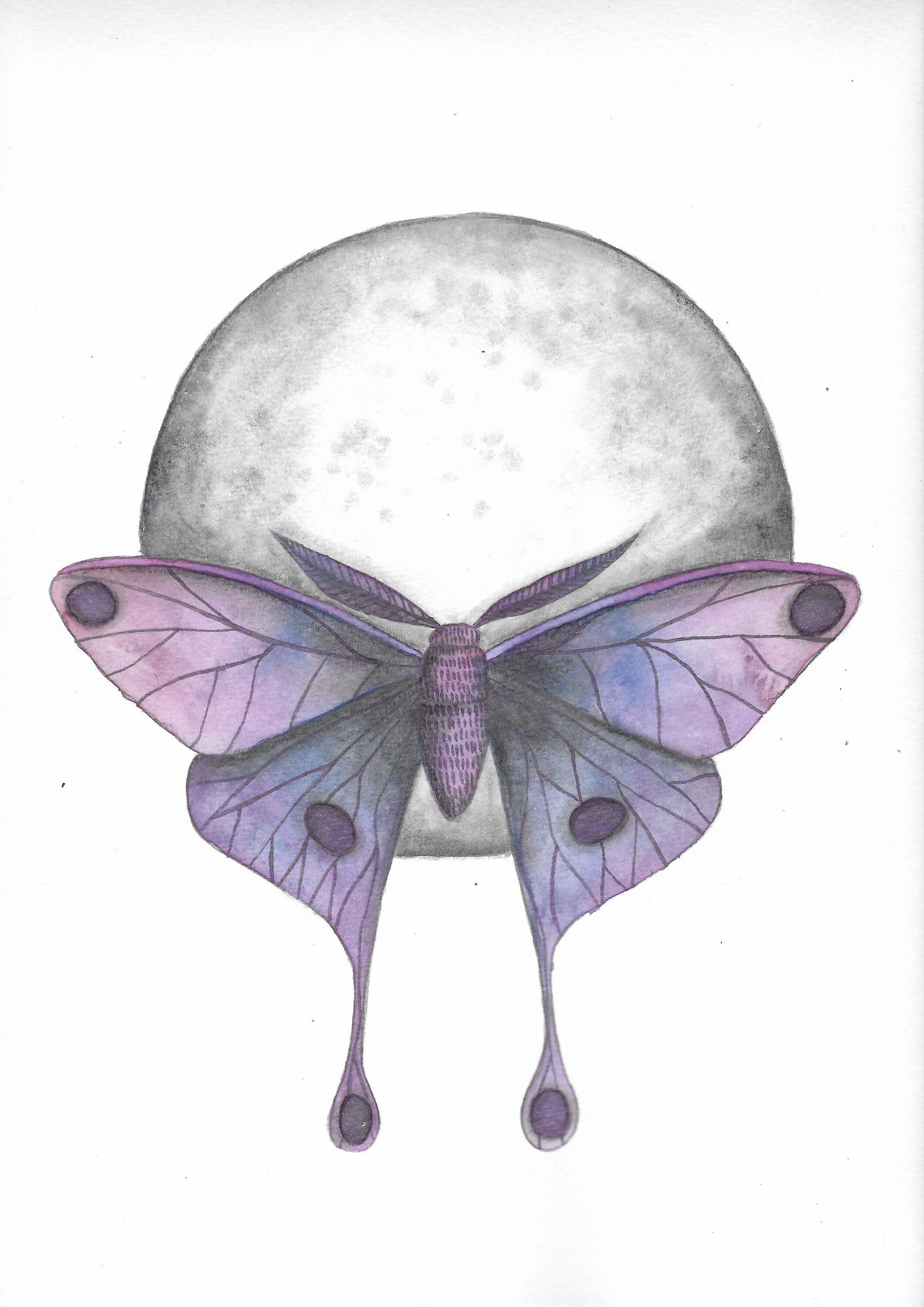 Mindful Moths and Moons- - Etsy