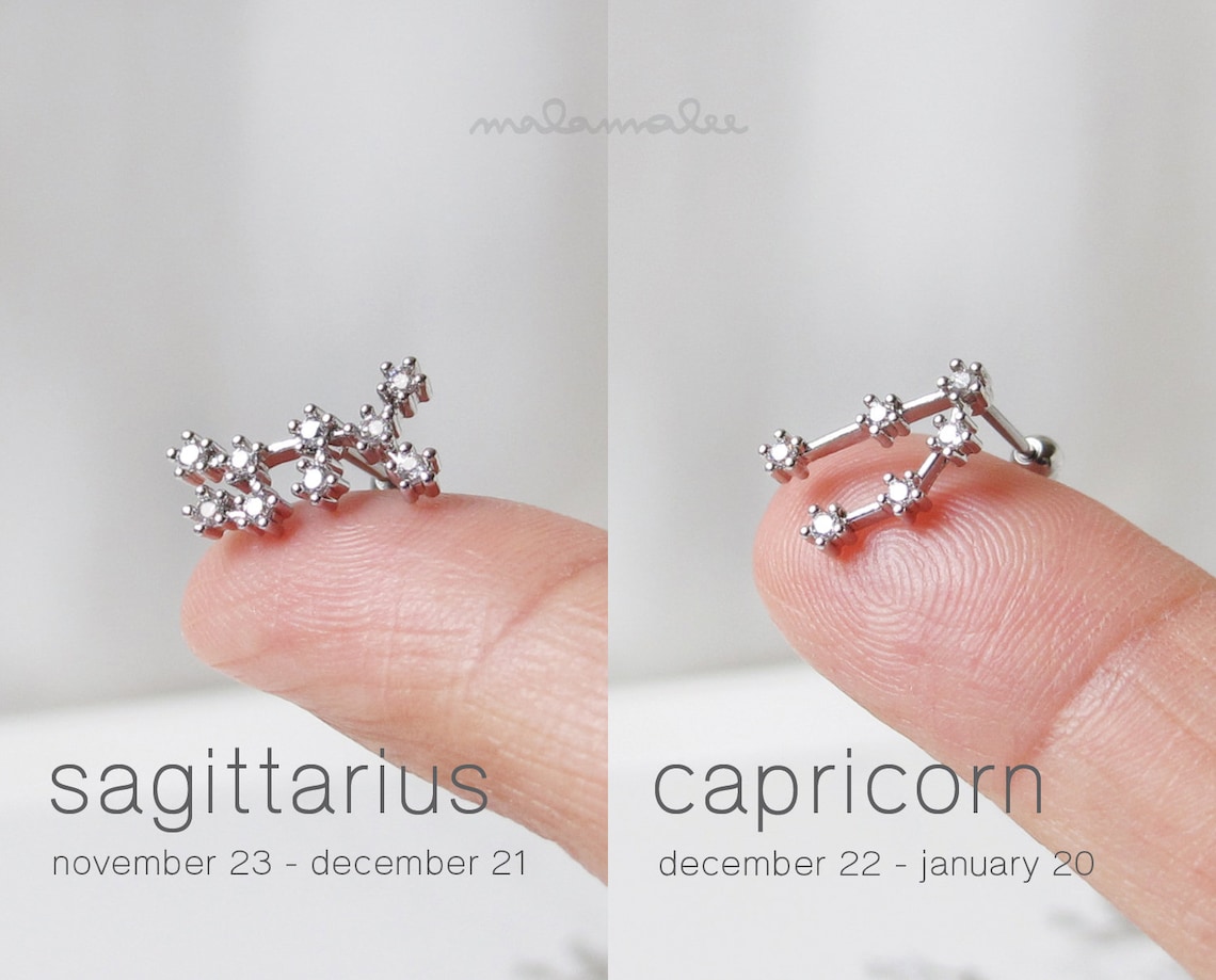 12 Zodiac Constellation Ear Piercing CZ Stud Earrings 20G | Etsy