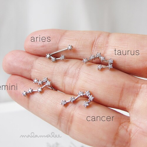 12 Zodiac Constellation Ear Piercing CZ Stud Earrings 20G | Etsy