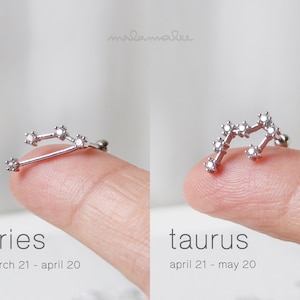 12 Zodiac Constellation Ear Piercing, CZ Stud Earrings, 20G Cartilage ...