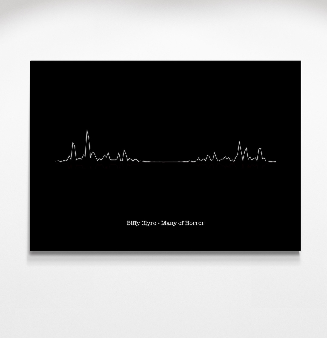 Biffy Clyro - Many of Horror - Heartbeat Soundwave Art Poster - Etsy
