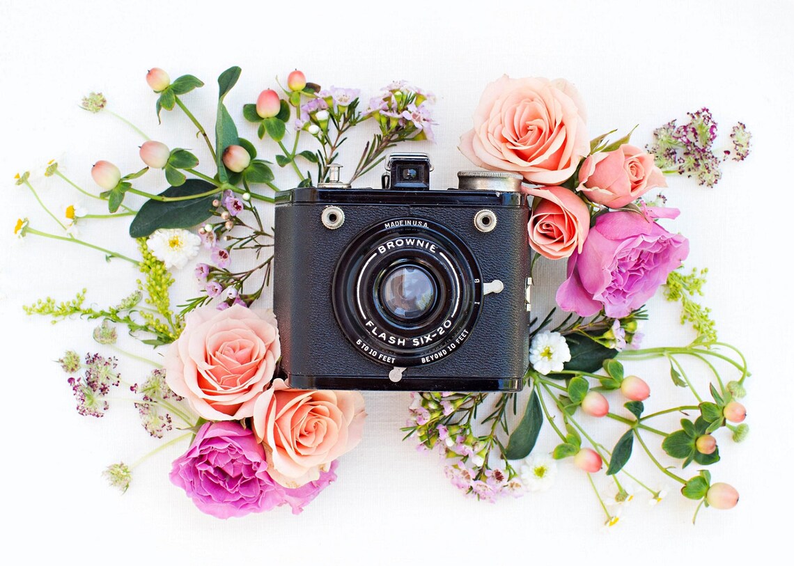 Vintage Camera Pink Roses Art Print - Etsy