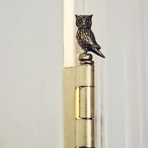 Hinge Heads – Desert Themed Door Hinge Figures - Etsy