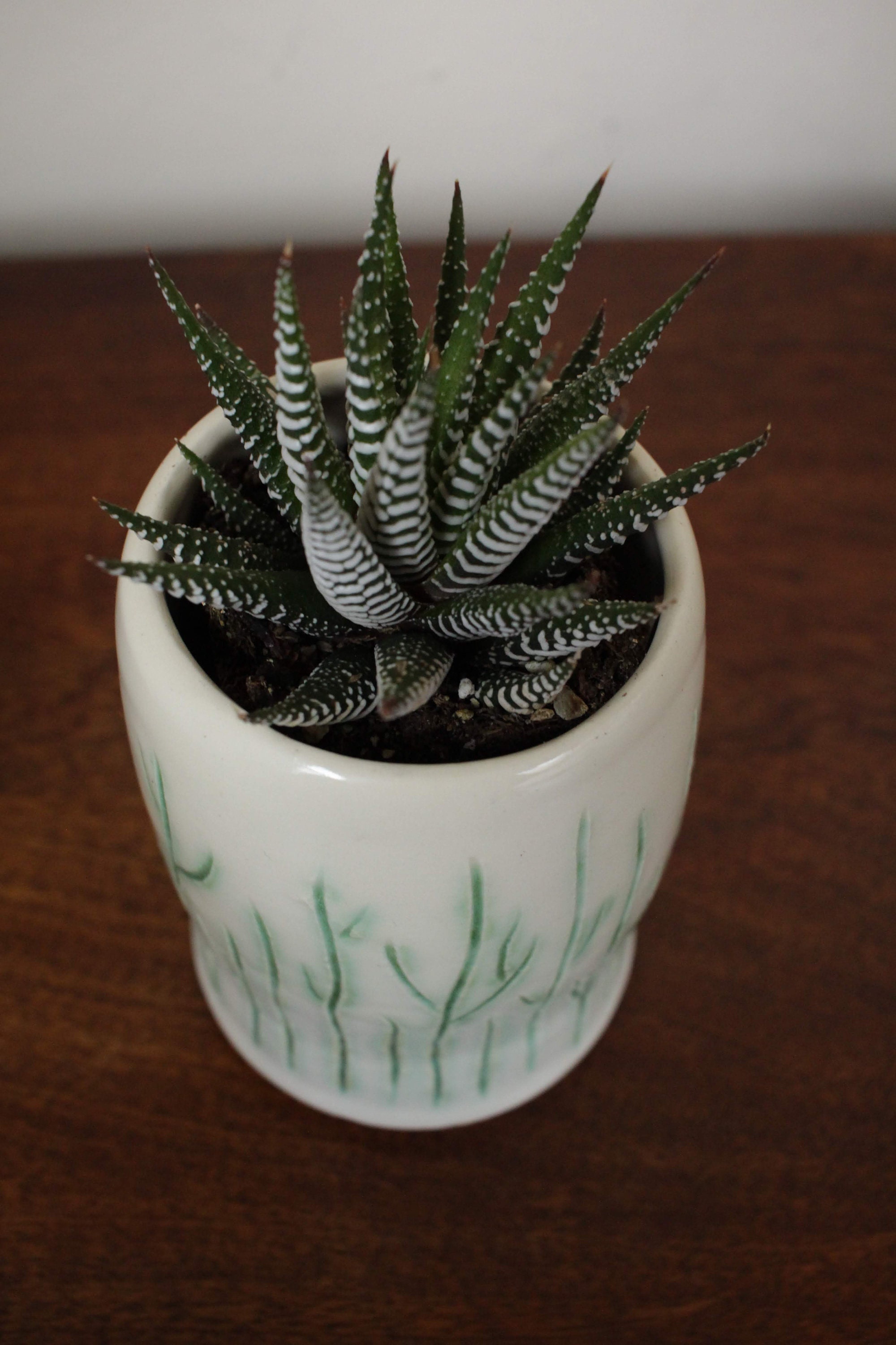 Forest From the Trees - Hand Thrown Pot With Custom Carving and Green ...