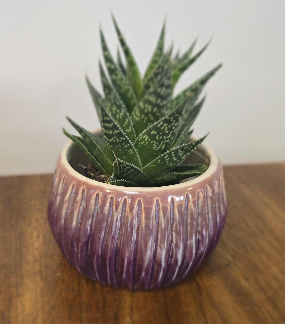Fluted Ombre - Small Hand Carved Bowl With a Fluted Exterior and Ombre ...