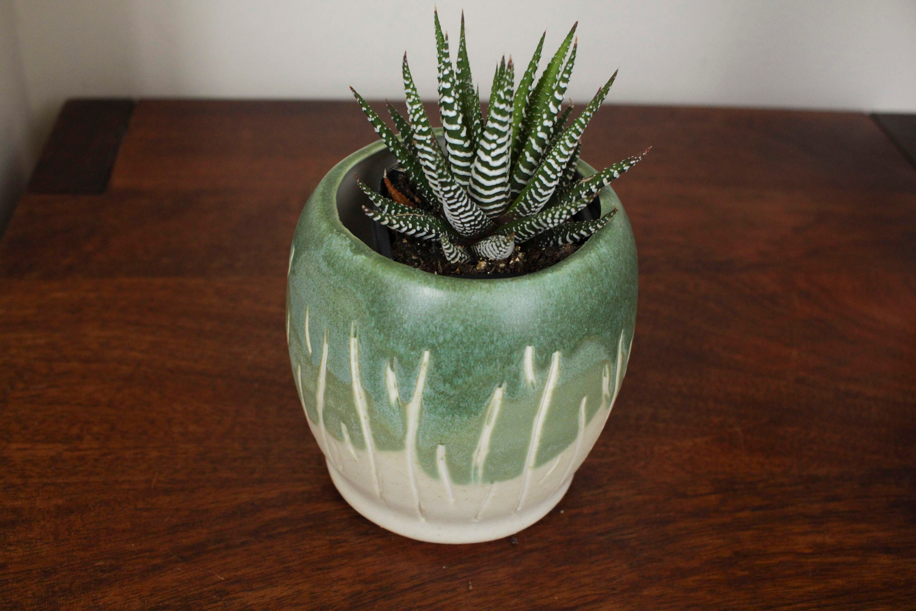The Canopy - Hand Thrown Pot With Custom Carving and Green & Stony ...