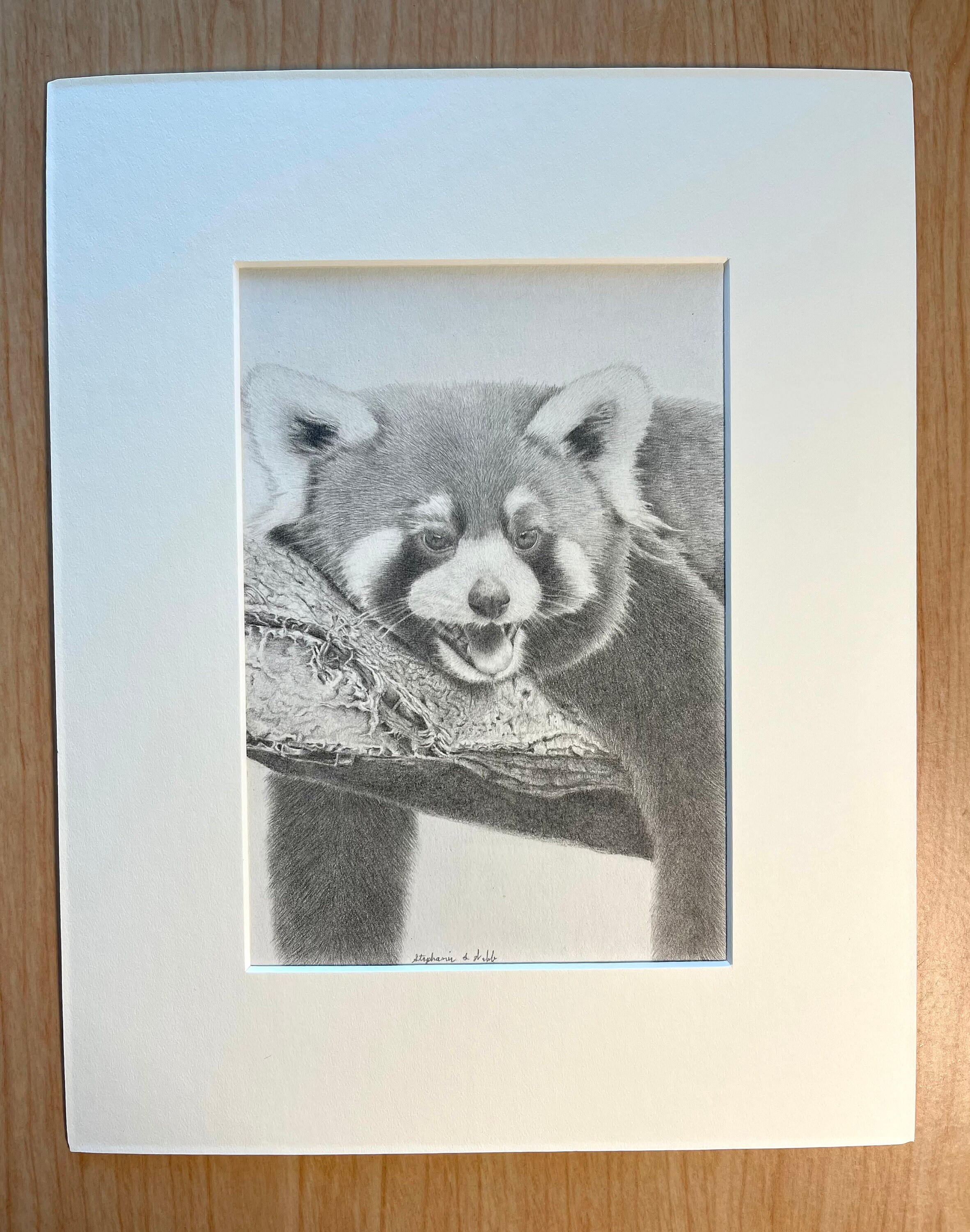 Red Panda-pencil Drawing - Etsy