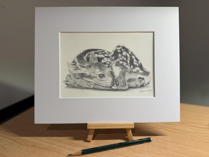 Fawn Pencil Drawing Print - Etsy