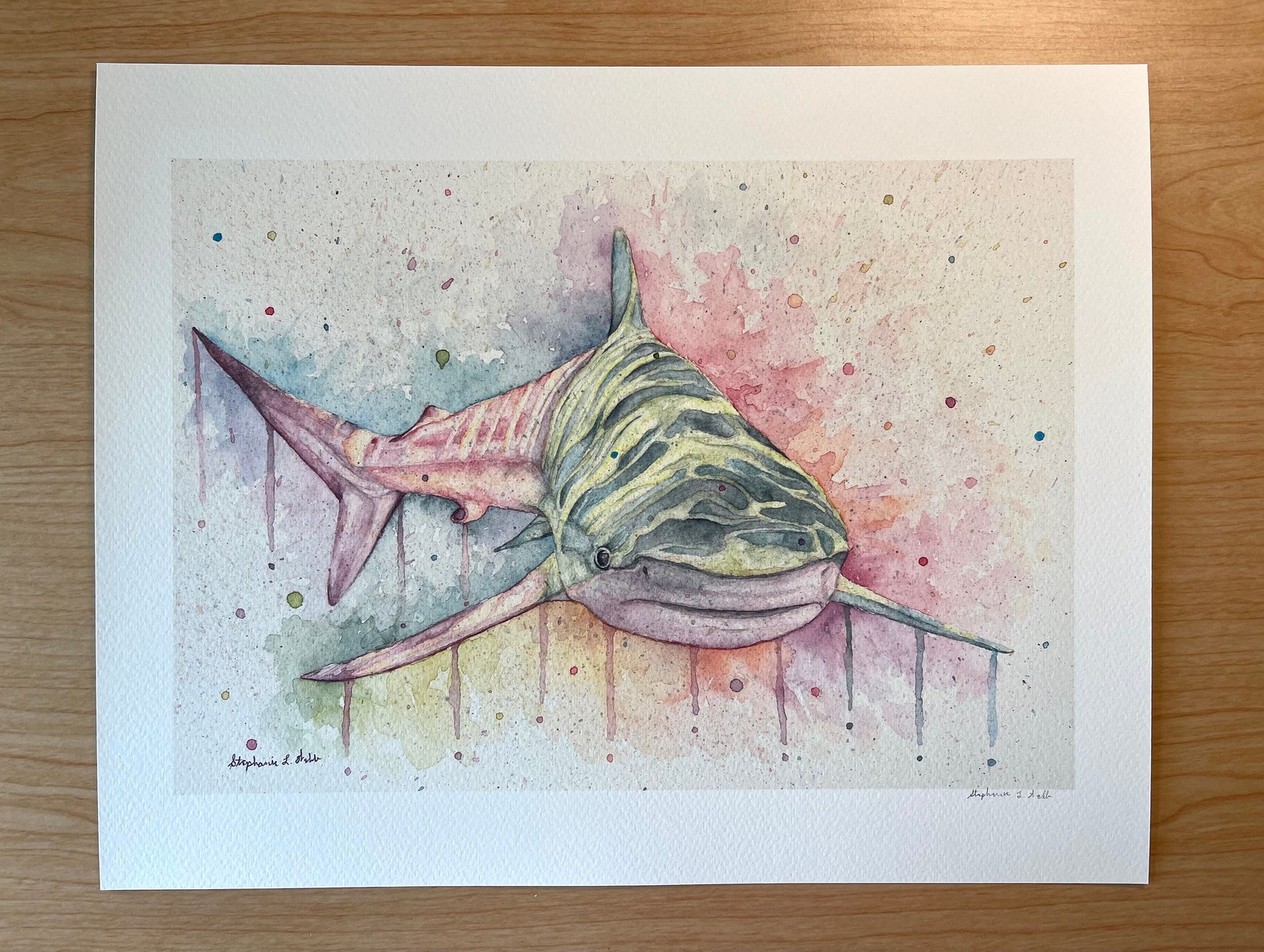 Watercolor Shark Print - Etsy